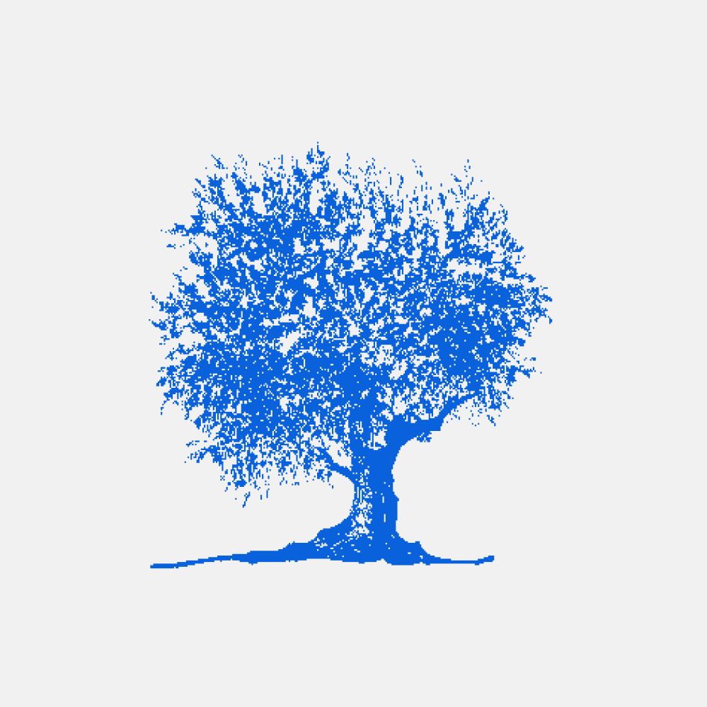 Ilustración y concepto para Bluetree